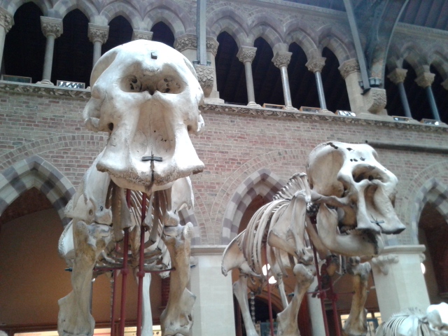 The Creation of the Cyclops | HannahPosBlog